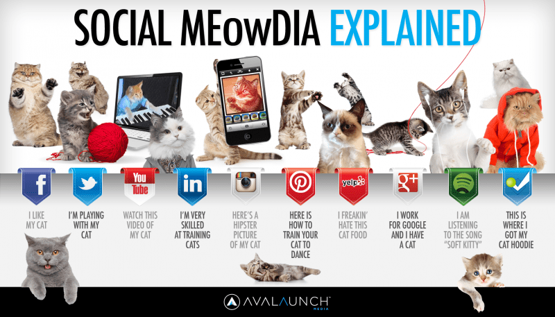 Social Media Explained. With Cats.